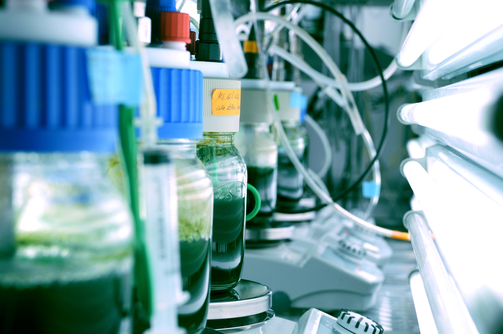 Cyano Biotech GmbH | Downloads